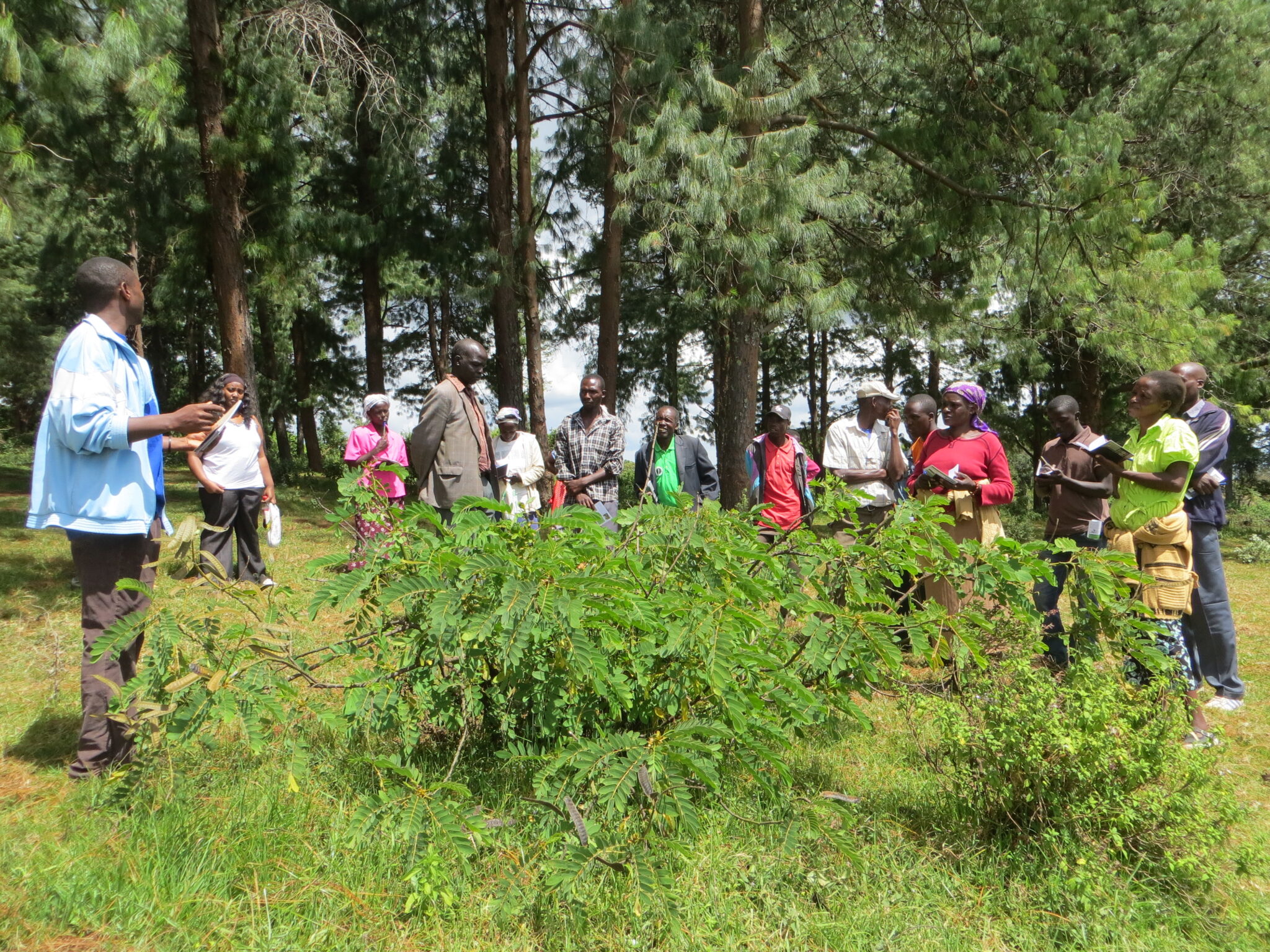 Conservation Clubs – Mentor a child to protect the threatened National ...
